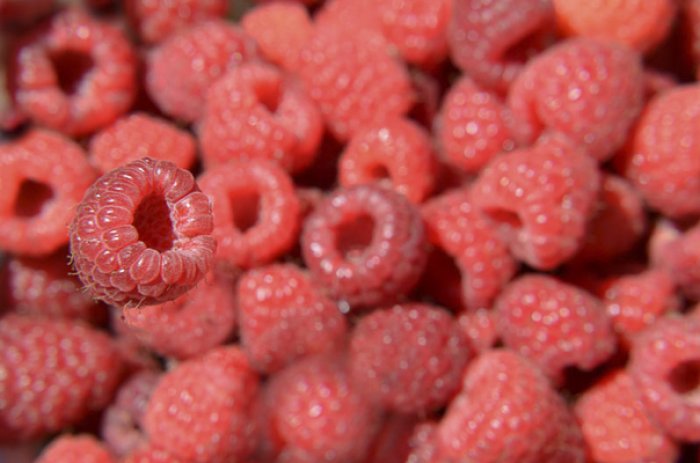 Association des Photographes Artisans de Laval - Clément Hudon